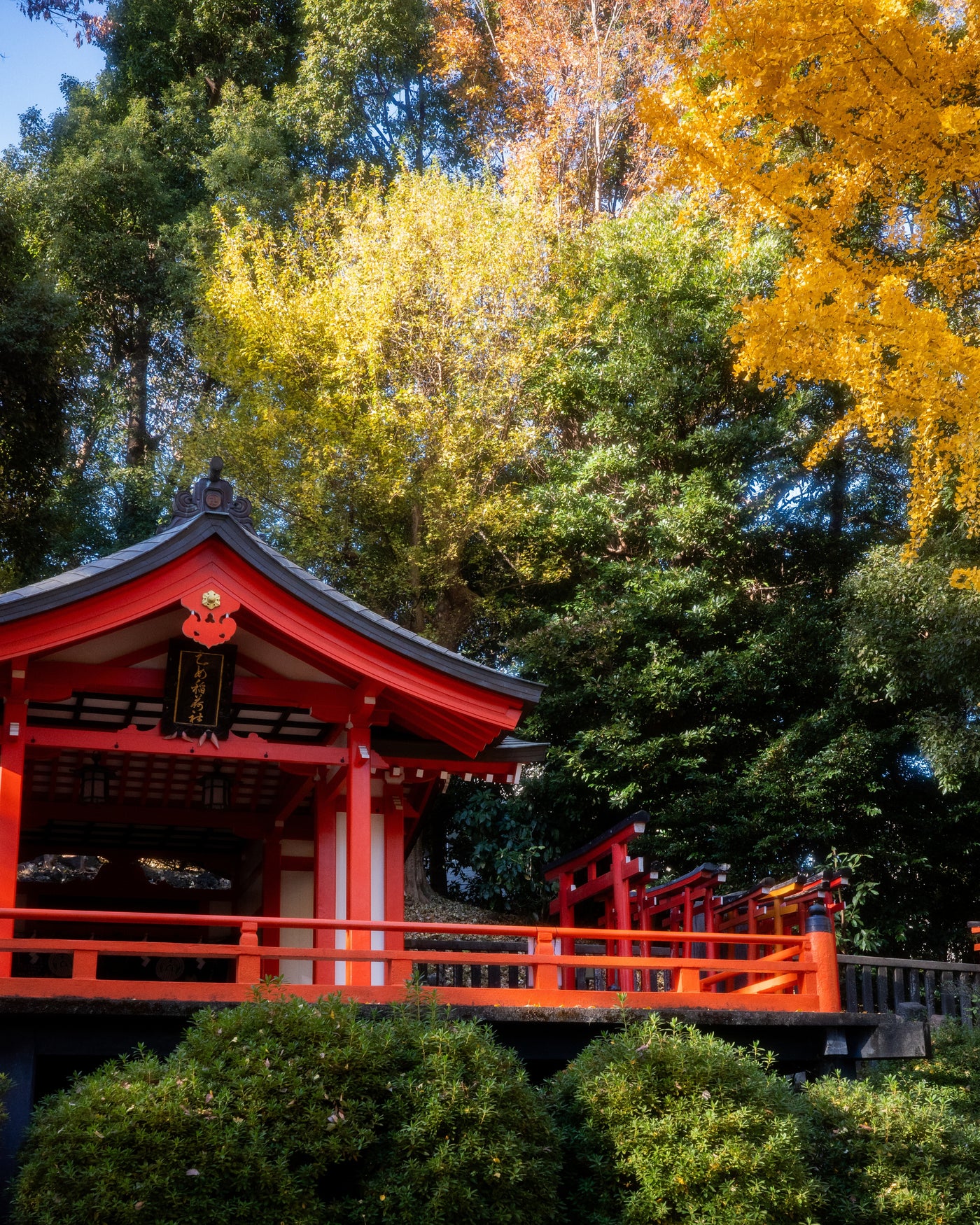 Kintoshi Kyoto